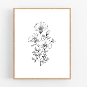delaware flower drawing