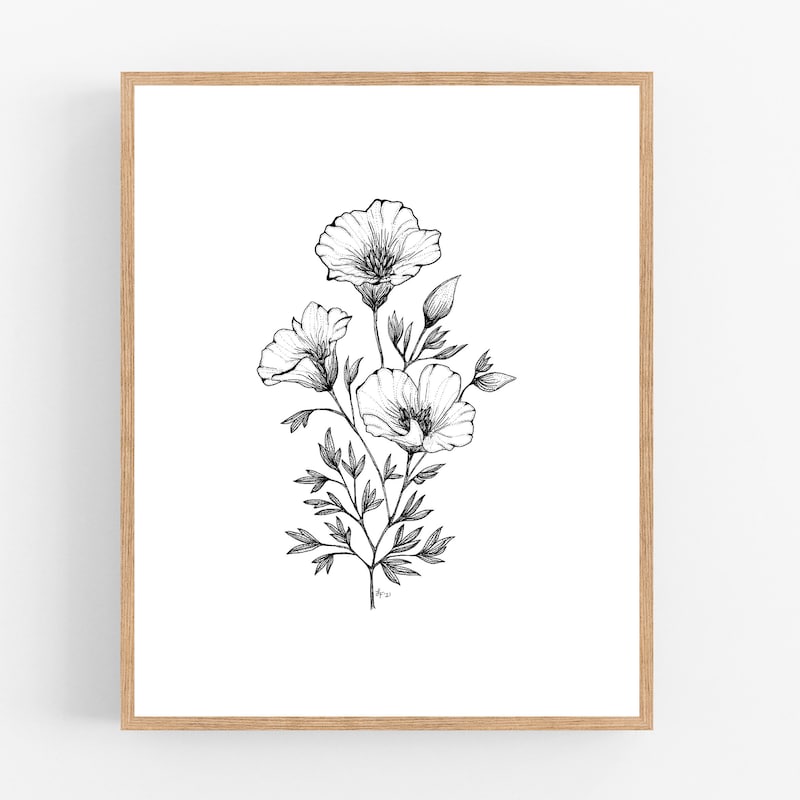 Poppy Line Art - Etsy