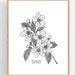 Michigan Apple Blossom Ink Sketch Print / Printable / Art / Digital ...