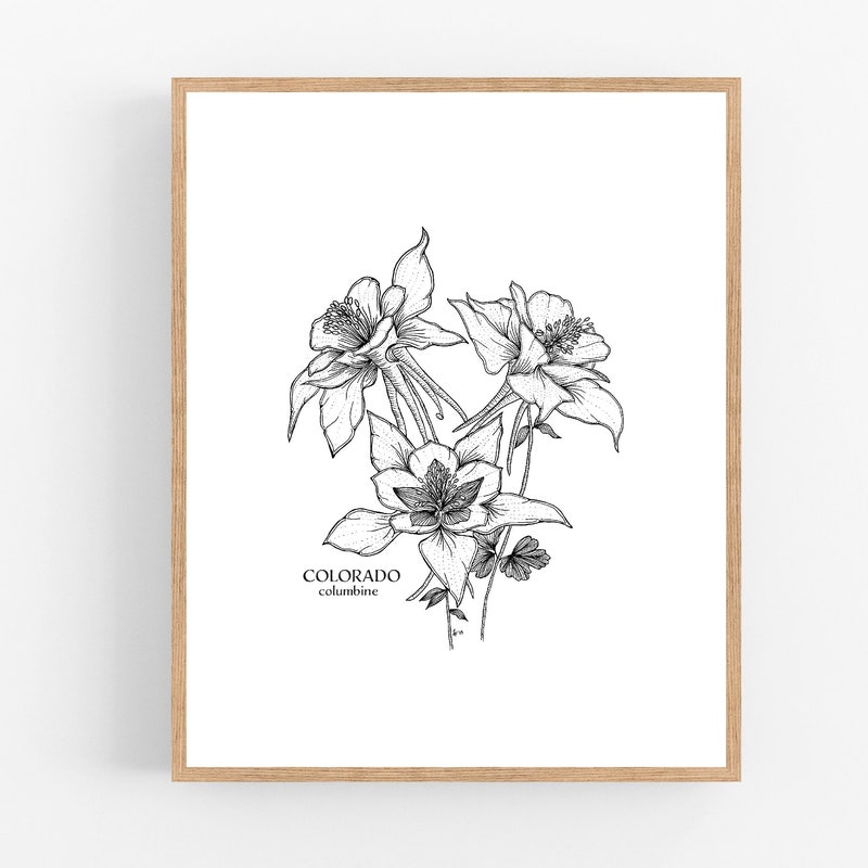 Columbine - Etsy