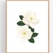 Magnolia Color Illustration Print / Printable / Art / Digital Download ...
