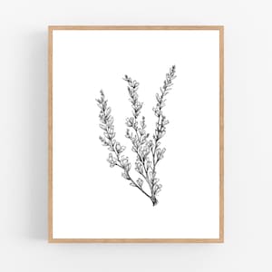 Sagebrush Ink Sketch Print / Printable / Art / Digital Download ...