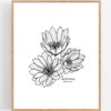 Hawthorn Flower Illustration / Printable / Art / Digital Download ...