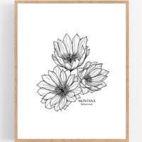 Hawthorn Flower Illustration / Printable / Art / Digital Download ...