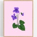 Violet Illustration / Printable / Art / Digital Download / Color Sketch ...