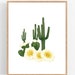 Saguaro Cactus Blossom Illustration Print / Printable / Art / Digital ...
