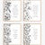 Mayflower Flower Ink Sketch Print / Massachusetts State Flower ...