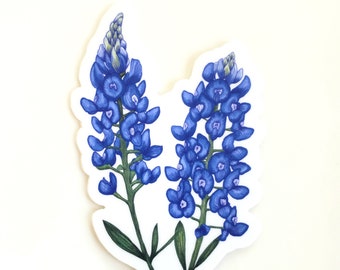 Bluebonnet Decal | Etsy