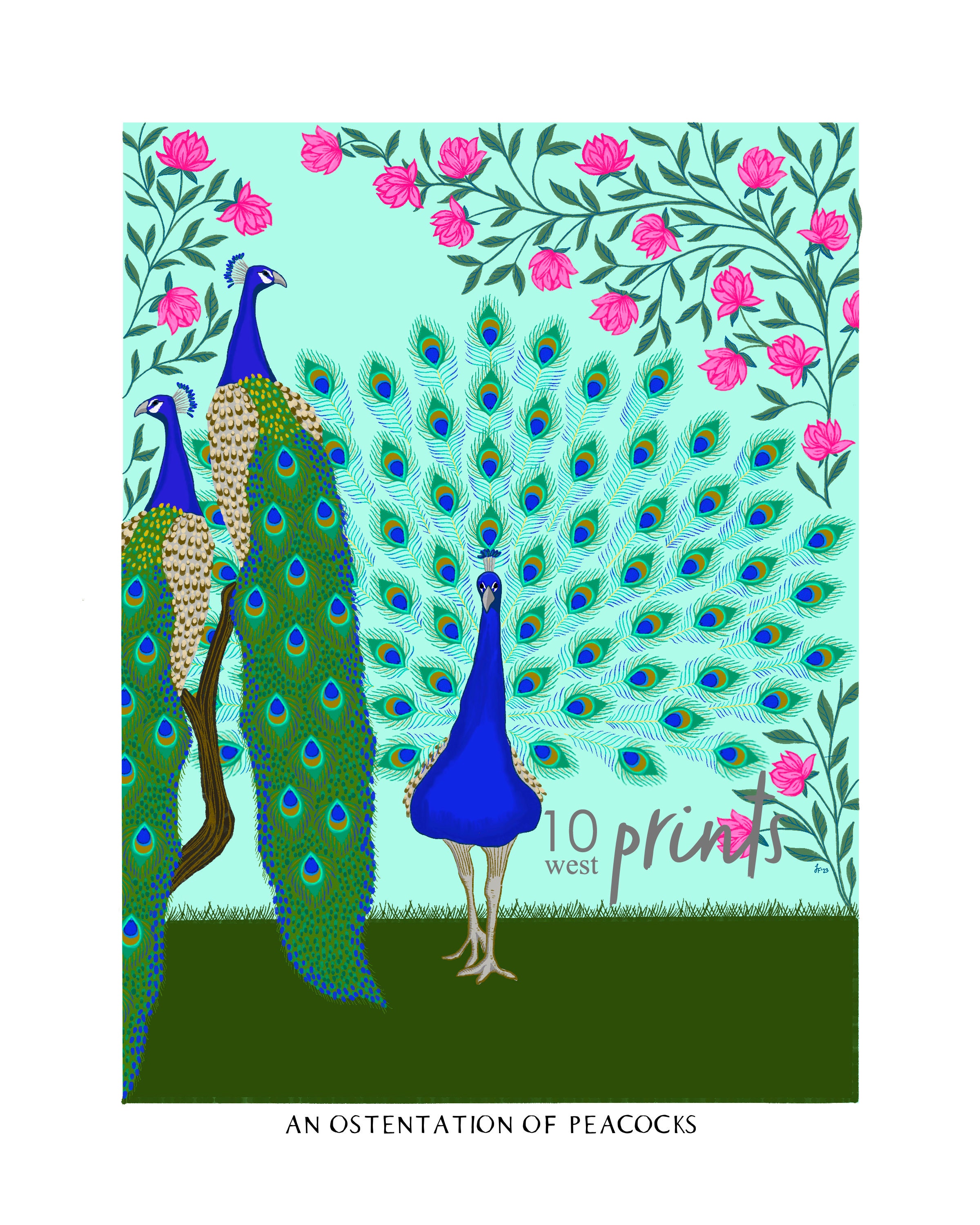An Ostentation of Peacocks / Collective Animal Art / Group of Birds ...