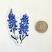 3" Bluebonnet Vinyl Sticker / Waterproof Vinyl Bluebonnet Decal / Texas ...