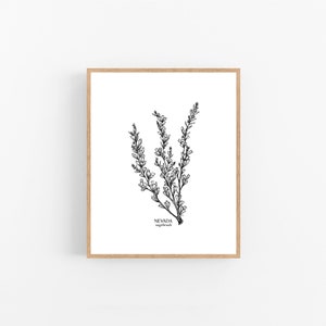 Nevada Sagebrush Ink Sketch Print / Printable / Art / Digital Download ...