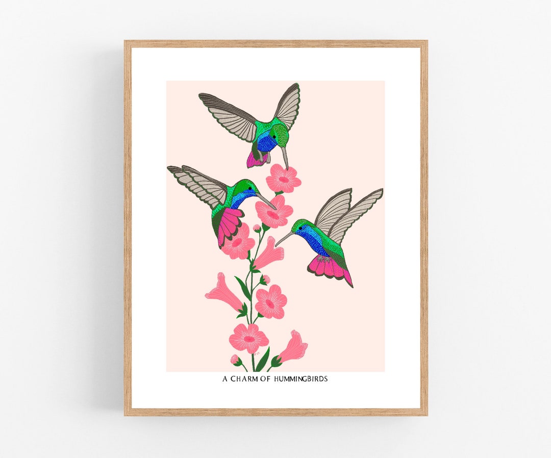 A Charm of Hummingbirds Pink / Collective Animal Art / A Charm of ...