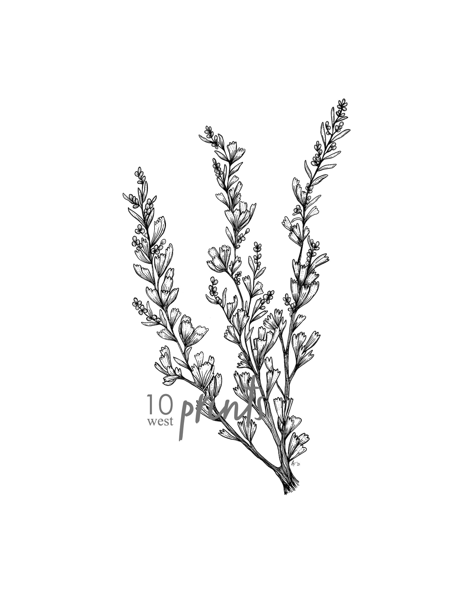 Sagebrush Ink Sketch Print / Printable / Art / Digital - Etsy