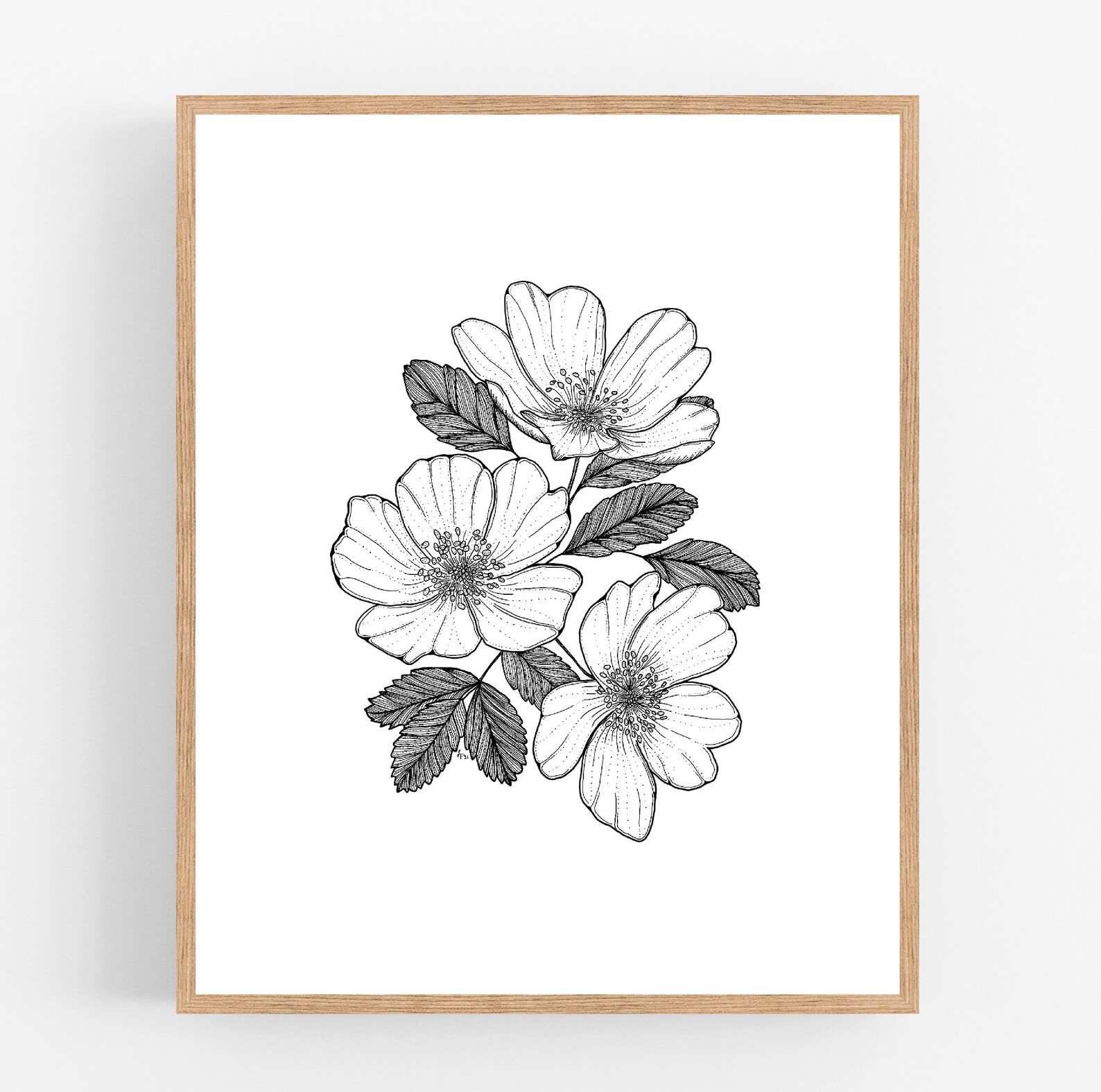 Wild Prairie Rose Black Ink Illustration Digital Download / North ...
