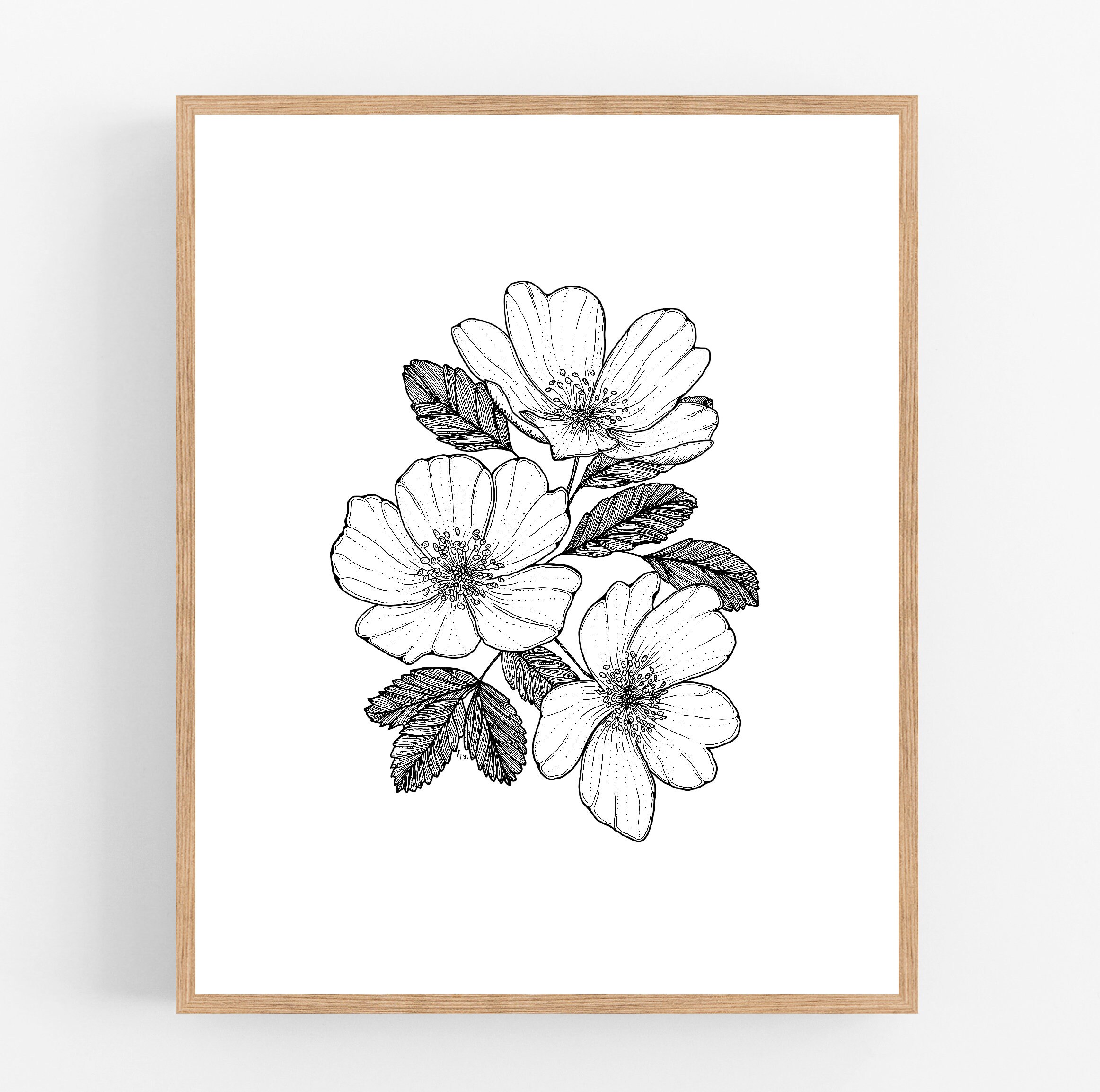 Wild Prairie Rose Black Ink Illustration Digital Download / North ...