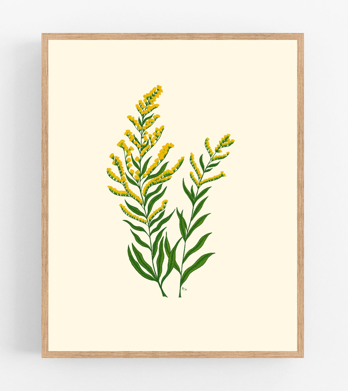 Goldenrod Illustration Print / Printable / Art / Digital Download ...