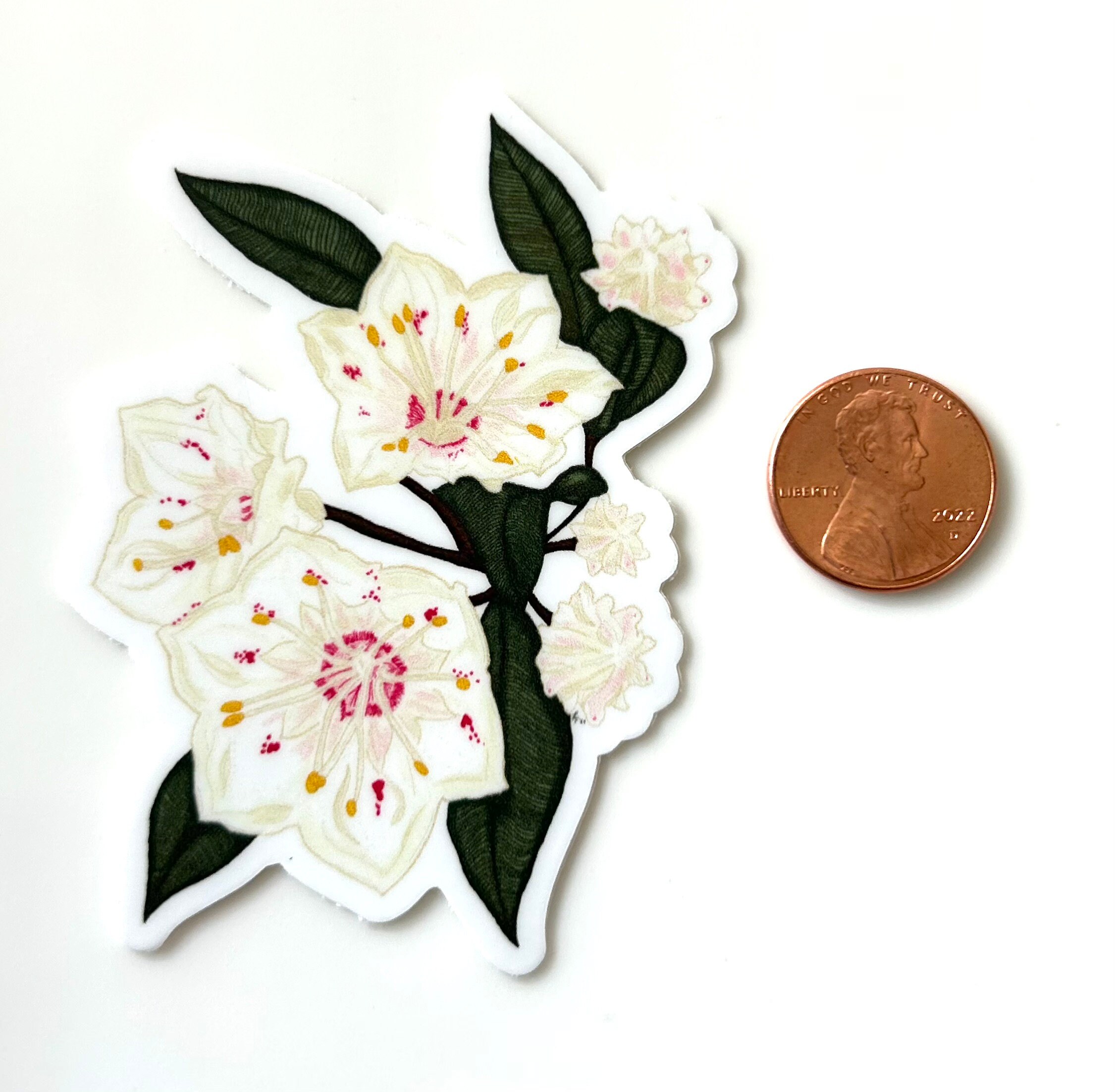 Mountain Laurel Flower Vinyl Sticker / Pennsylvania, Connecticut State ...