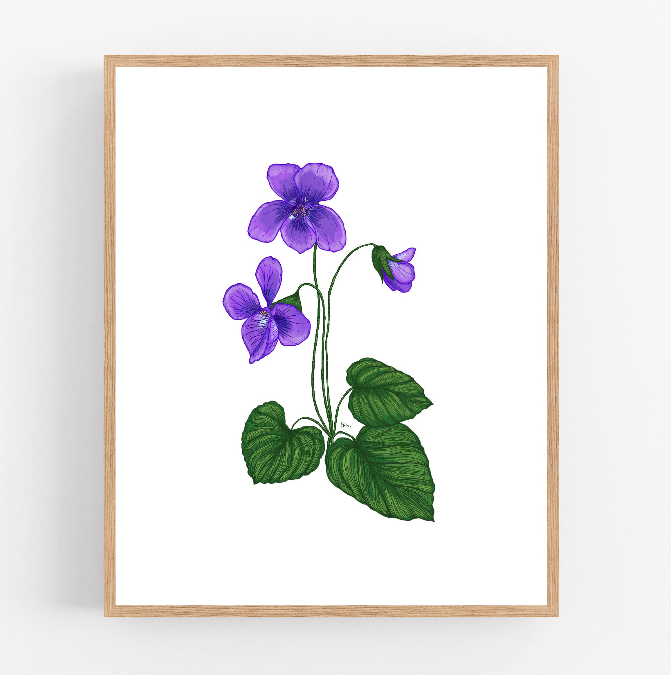 Violet Illustration / Printable / Art / Digital Download / Color Sketch ...