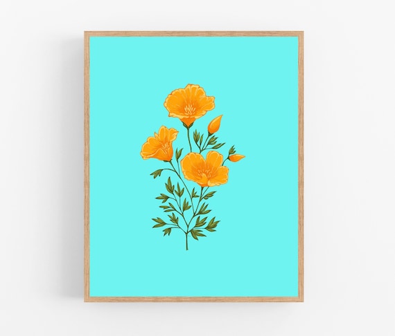 California Poppy Illustration / Printable / Art / Digital | Etsy