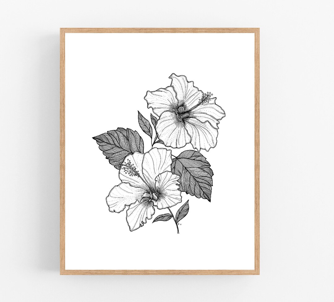 Hibiscus Ink Sketch Print / Printable / Art / Digital Download ...