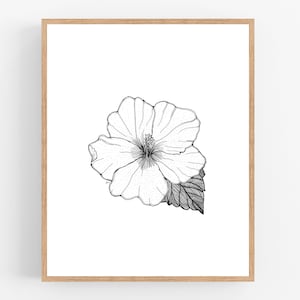 Flor De Maga Black Ink Illustration Digital Download / Puerto Rico ...