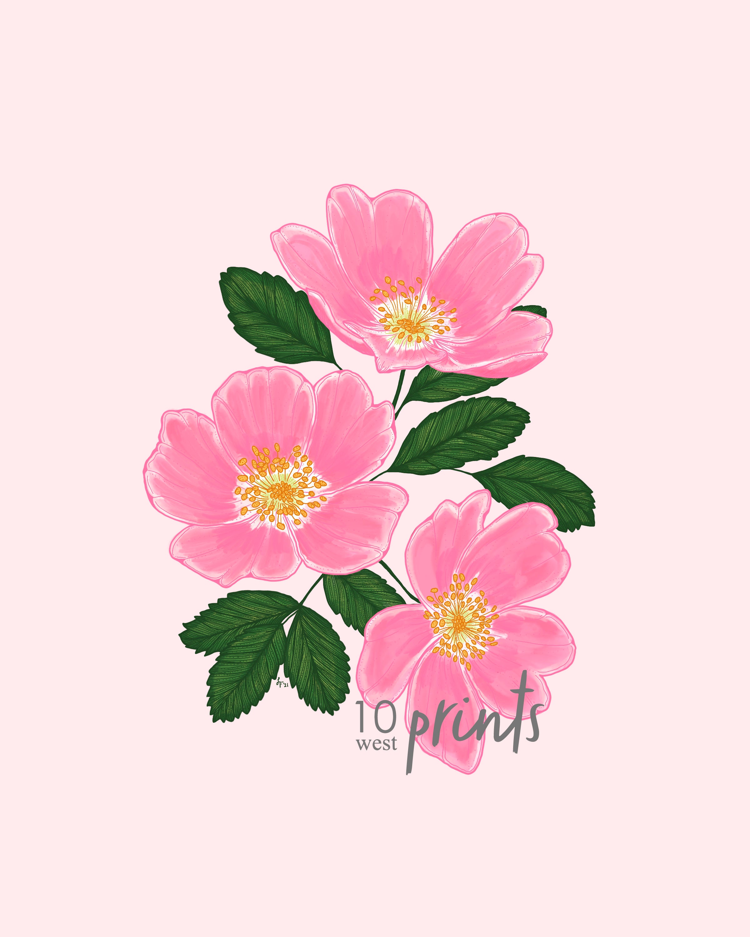 Wild Prairie Rose Illustration Print / Printable / Art / | Etsy