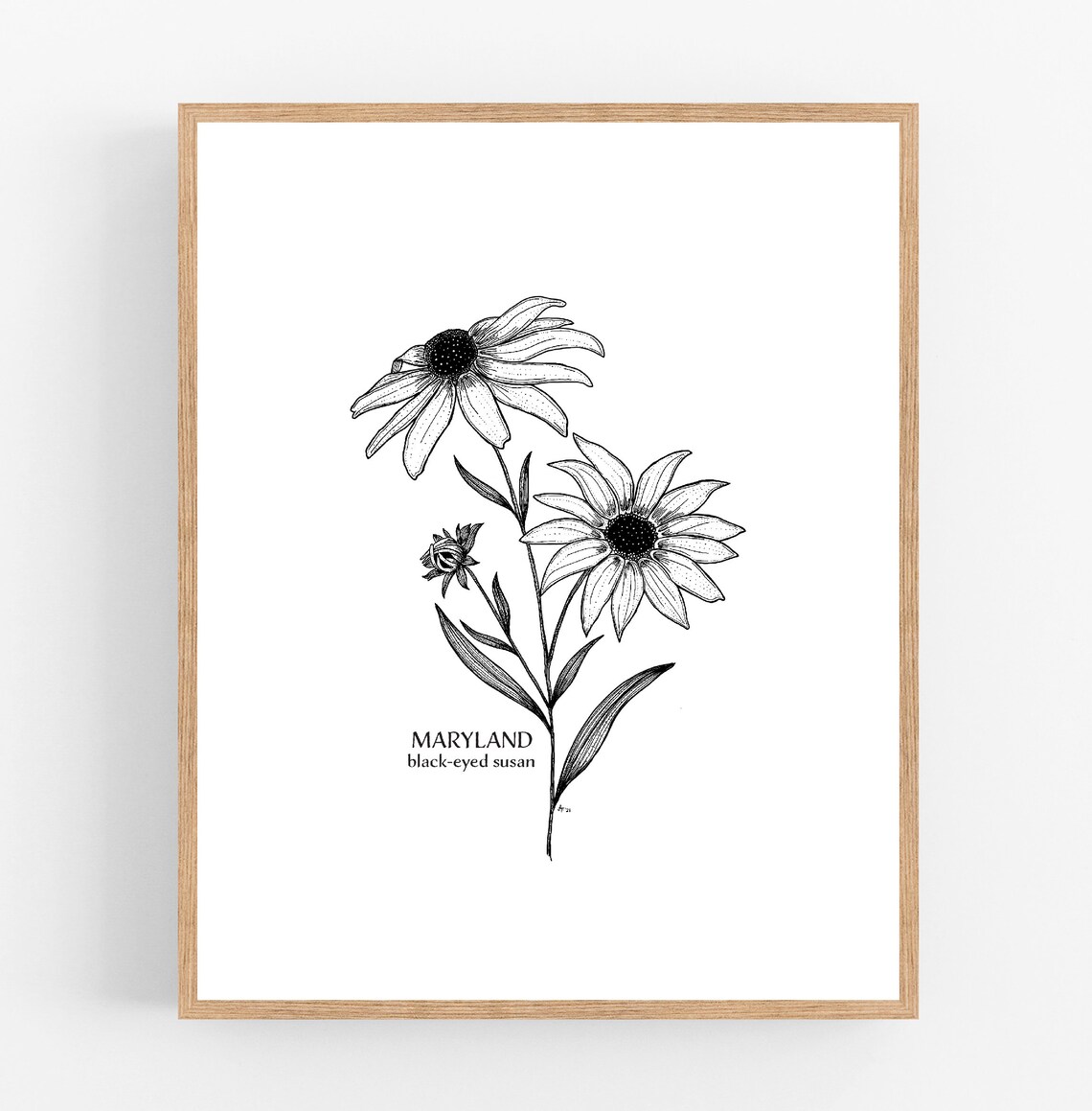 Maryland Black-eyed Susan State Flower Print / Printable / Art - Etsy