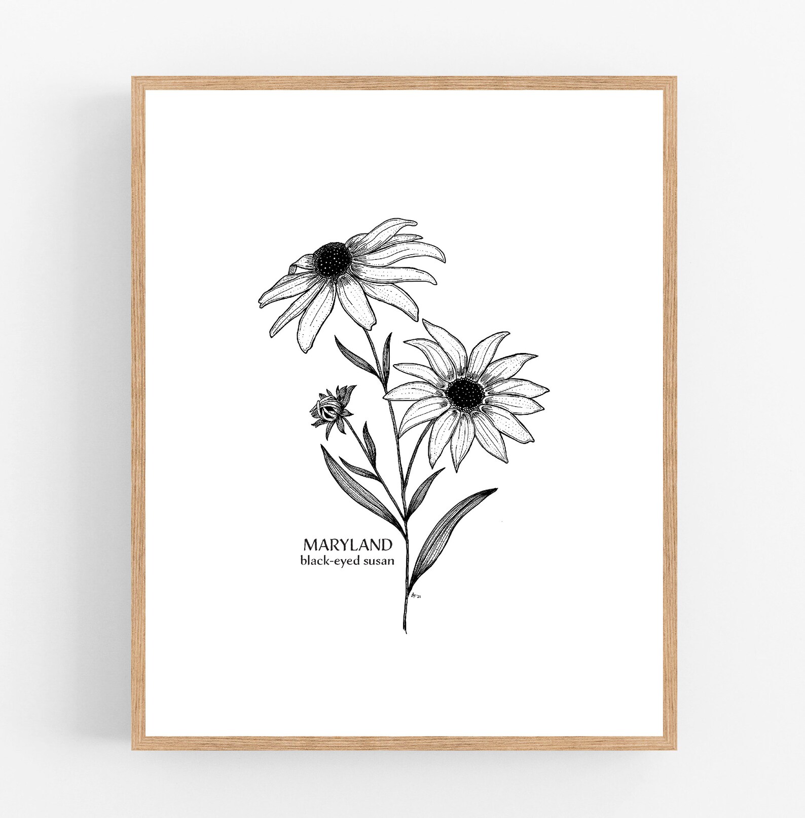 Maryland Black-eyed Susan State Flower Print / Printable / Art - Etsy