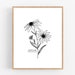 Maryland Black-eyed Susan State Flower Print / Printable / Art ...