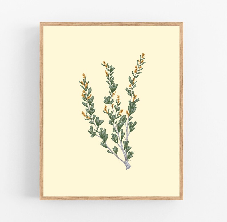 Sagebrush Branch Illustration / Printable / Art / Digital | Etsy