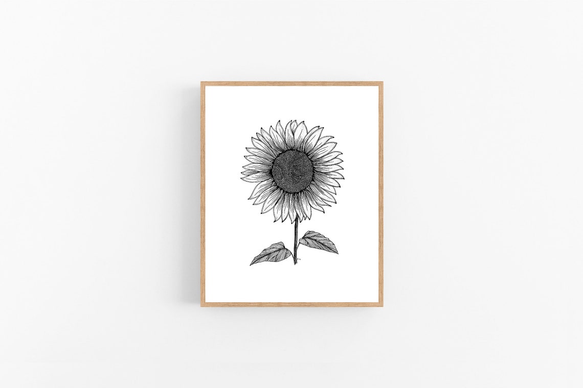 Sunflower Ink Sketch Print / Kansas State Flower Printable / | Etsy