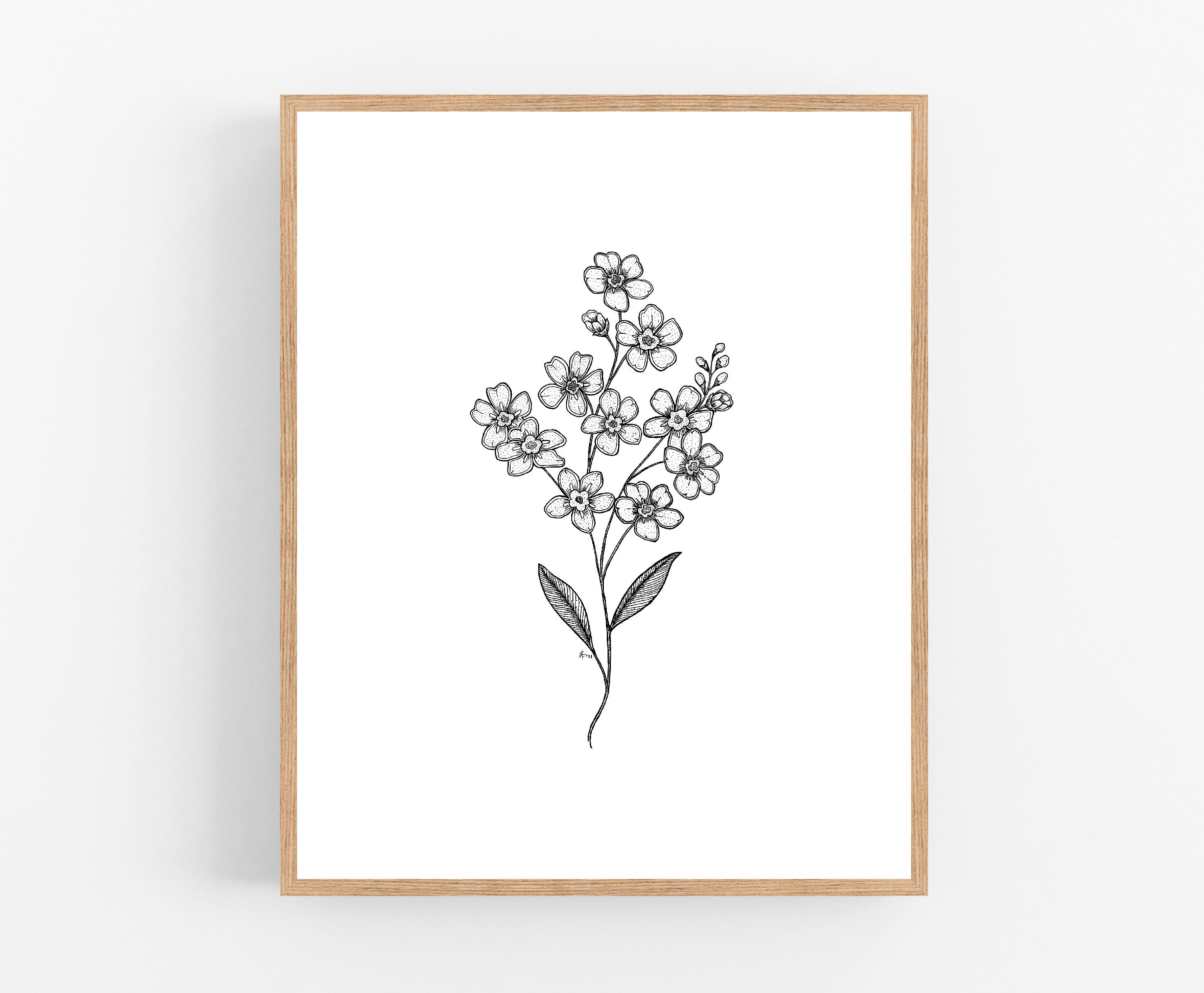 Forget-me-not Ink Sketch Print / Forget Me Not Printable / Art - Etsy