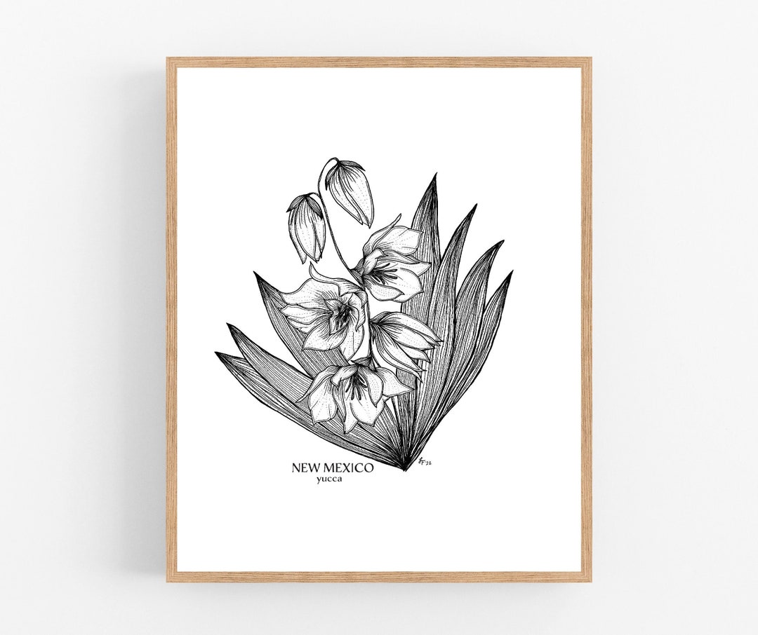 New Mexico Yucca Black Ink Illustration / Yucca Print Drawing ...