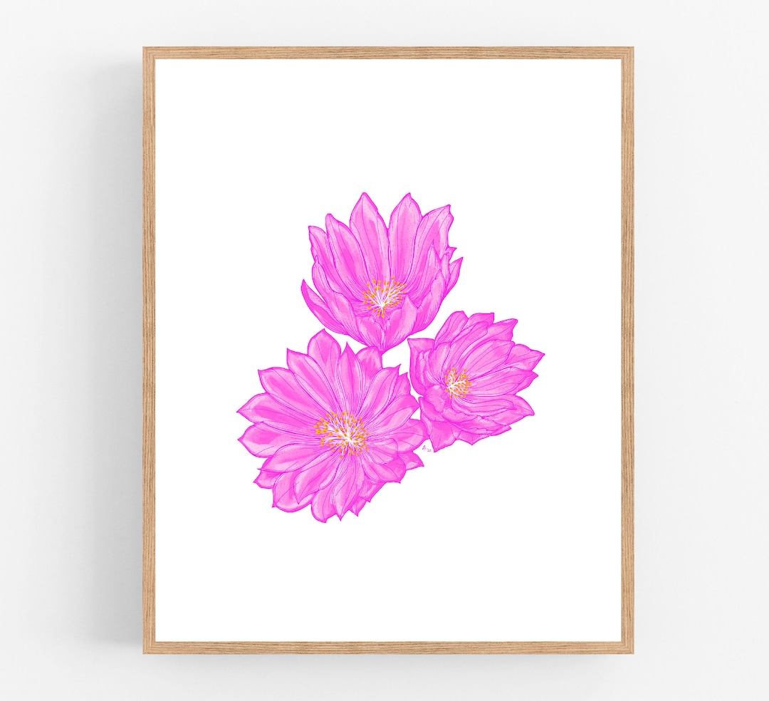 Bitterroot Color Illustration Print / Printable / Art / Digital ...