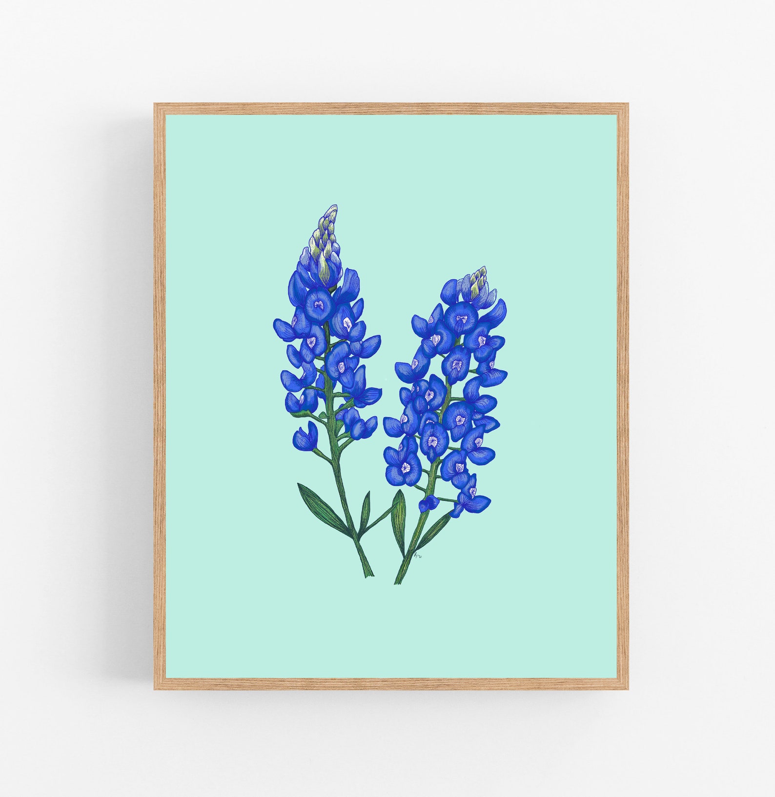 Bluebonnet Illustration / Printable / Art / Digital Download / - Etsy