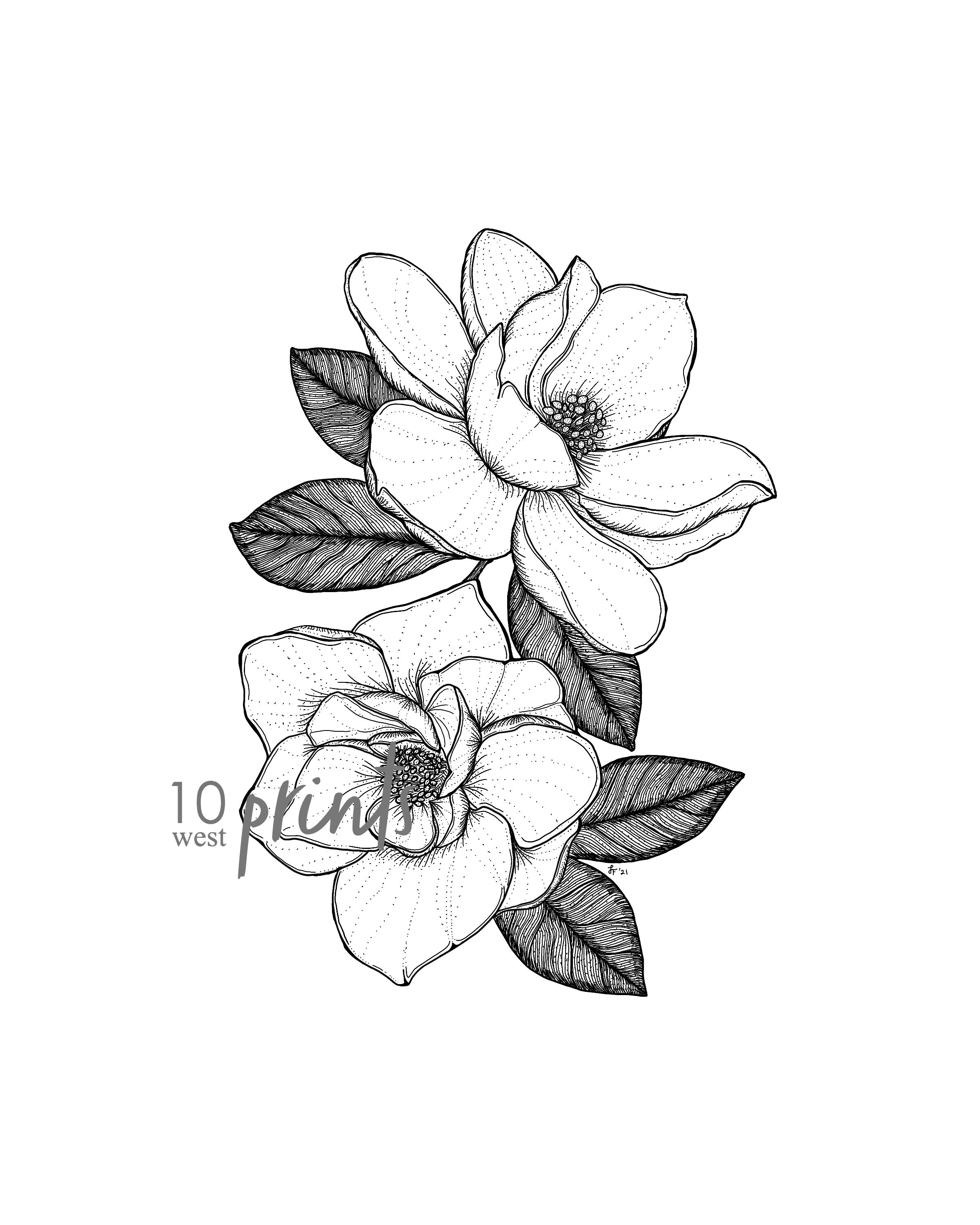 Magnolia Ink Sketch Print / Printable / Art / Digital Download - Etsy