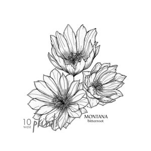 Montana Bitterroot Ink Sketch Print / Printable / Art / Digital ...