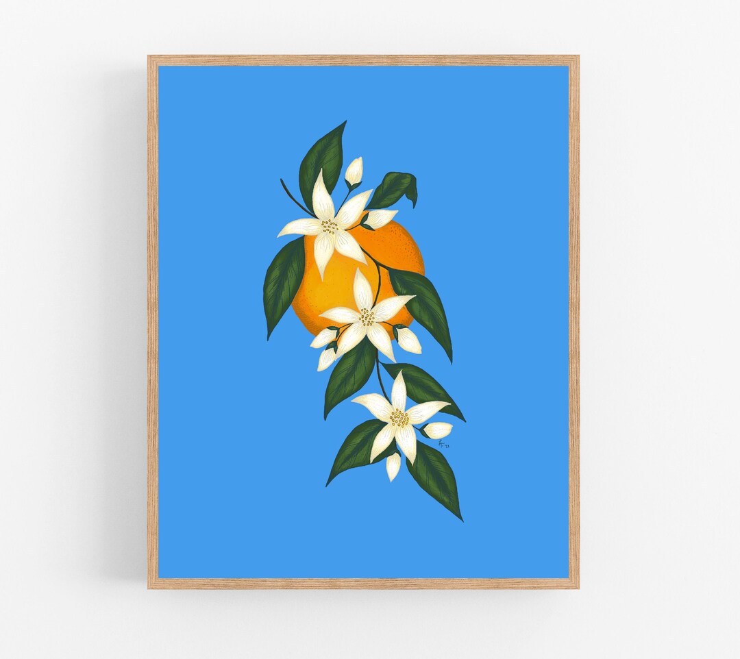 Orange Blossom Illustration / Printable / Art / Digital Download ...