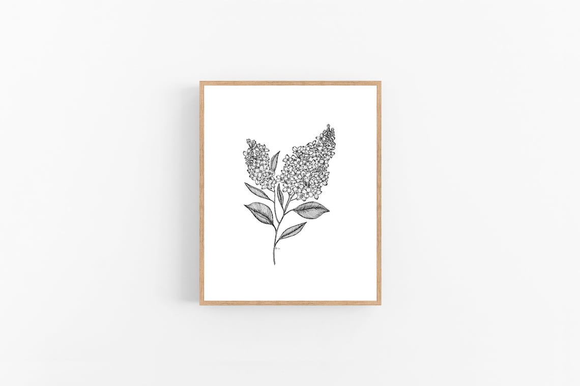 Lilac Black Ink Digital Download / New Hampshire State Flower Printable ...
