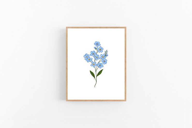 Forget-me-not Illustration Print / Printable / Art / Digital | Etsy