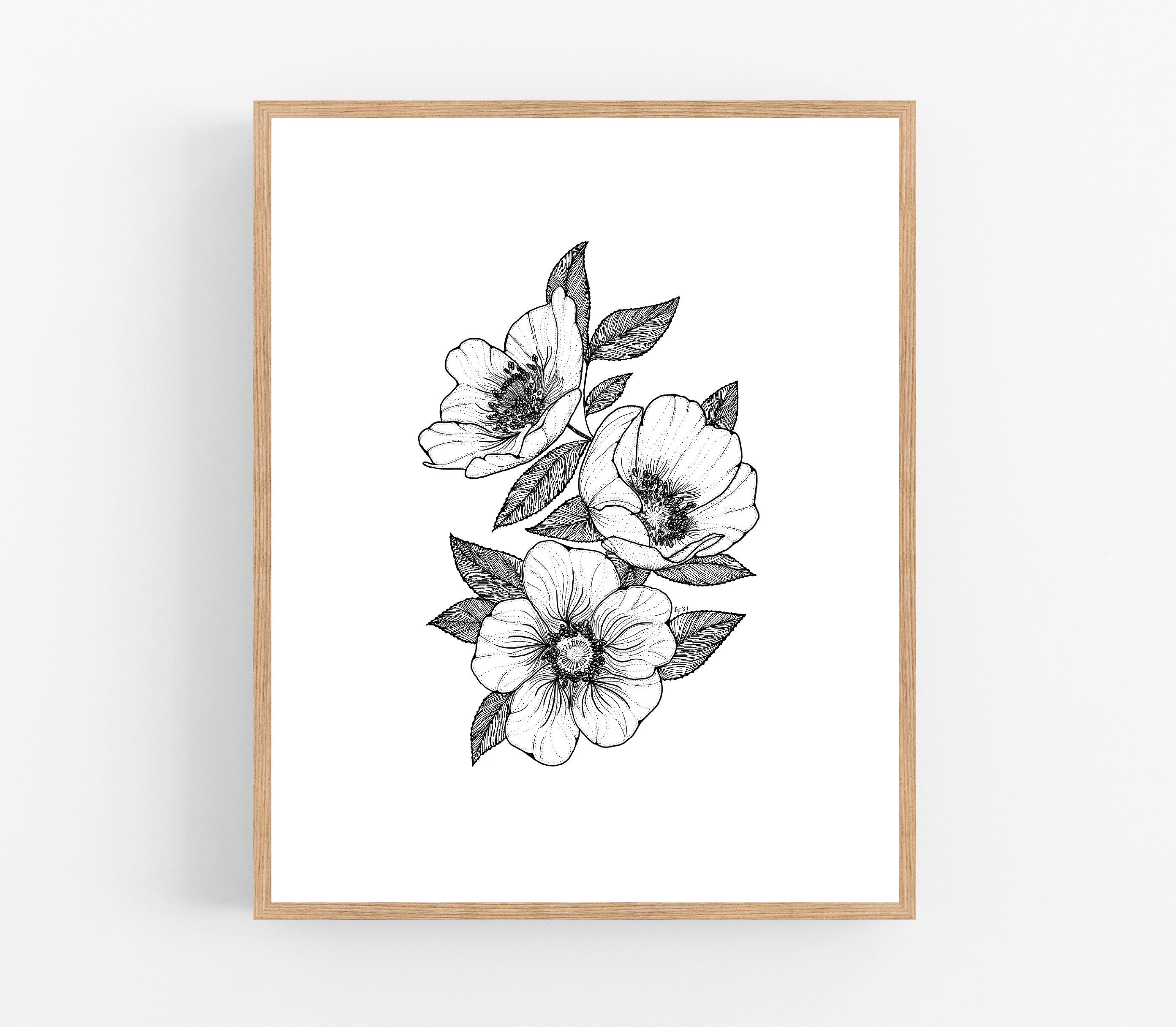 Cherokee Rose Ink Sketch Print / Georgia State Flower Print / - Etsy
