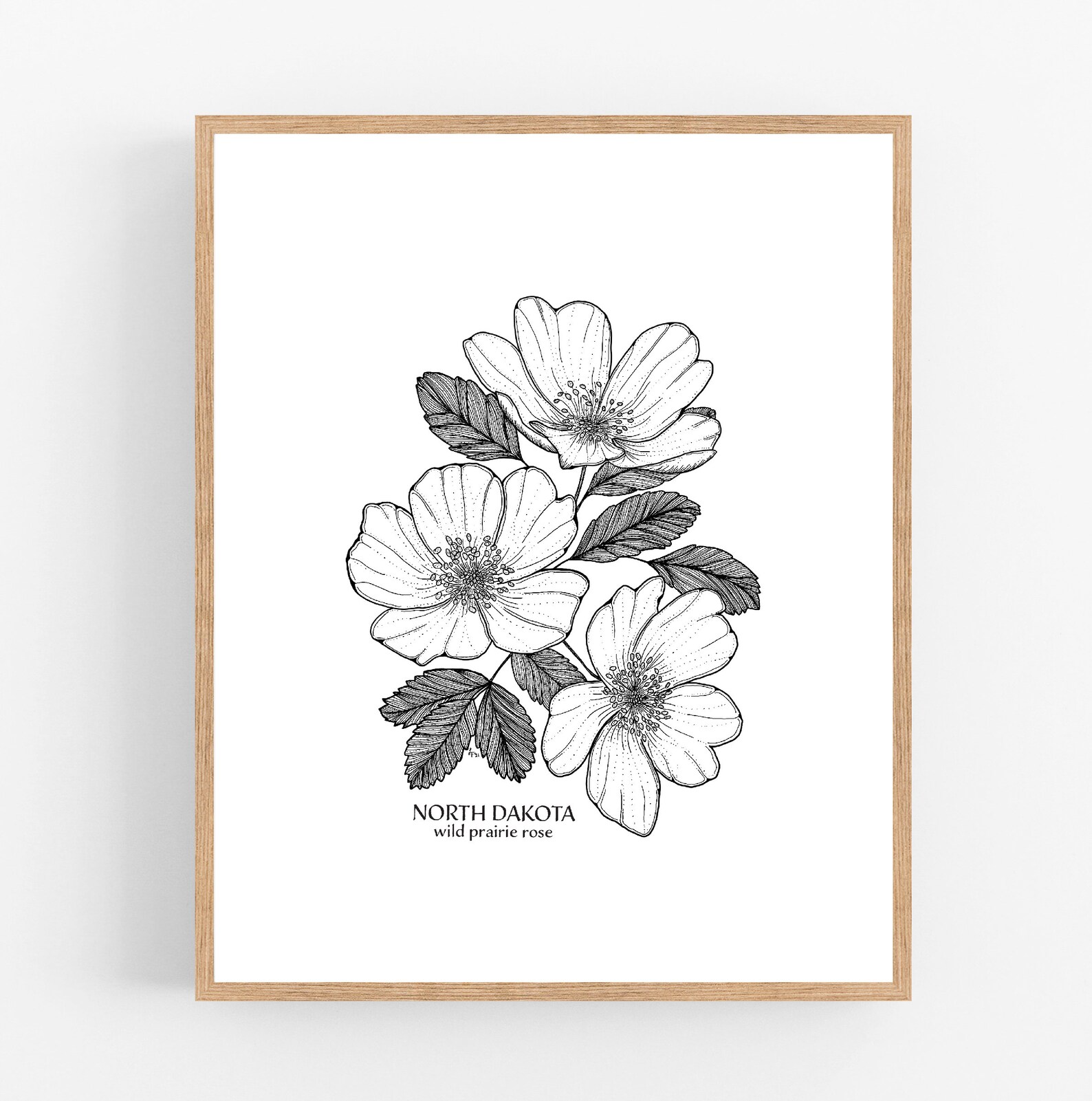 North Dakota Wild Prairie Rose Ink Sketch Print / Printable / Art ...