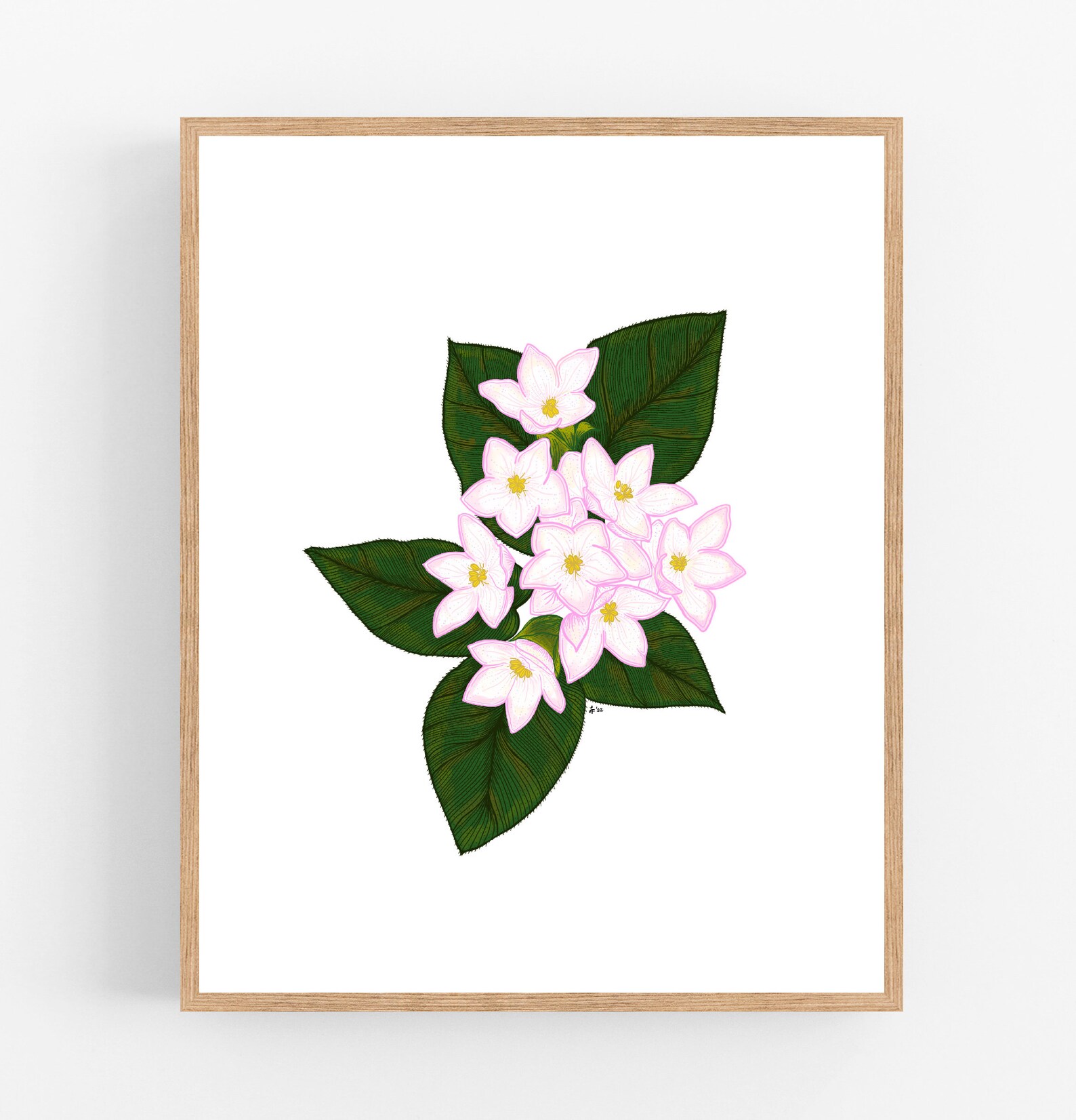 Mayflower Color Illustration / Printable / Art / Digital Download ...