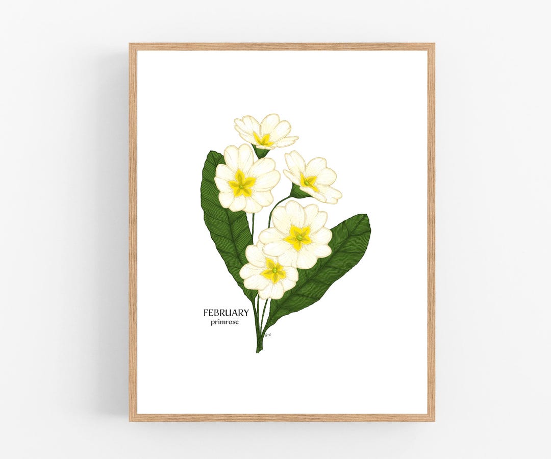 Primrose Illustration With Label / Printable / Art / Digital Download ...