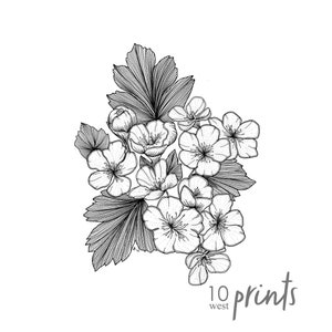 Hawthorn Black Ink Illustration Digital Download / Missouri State ...