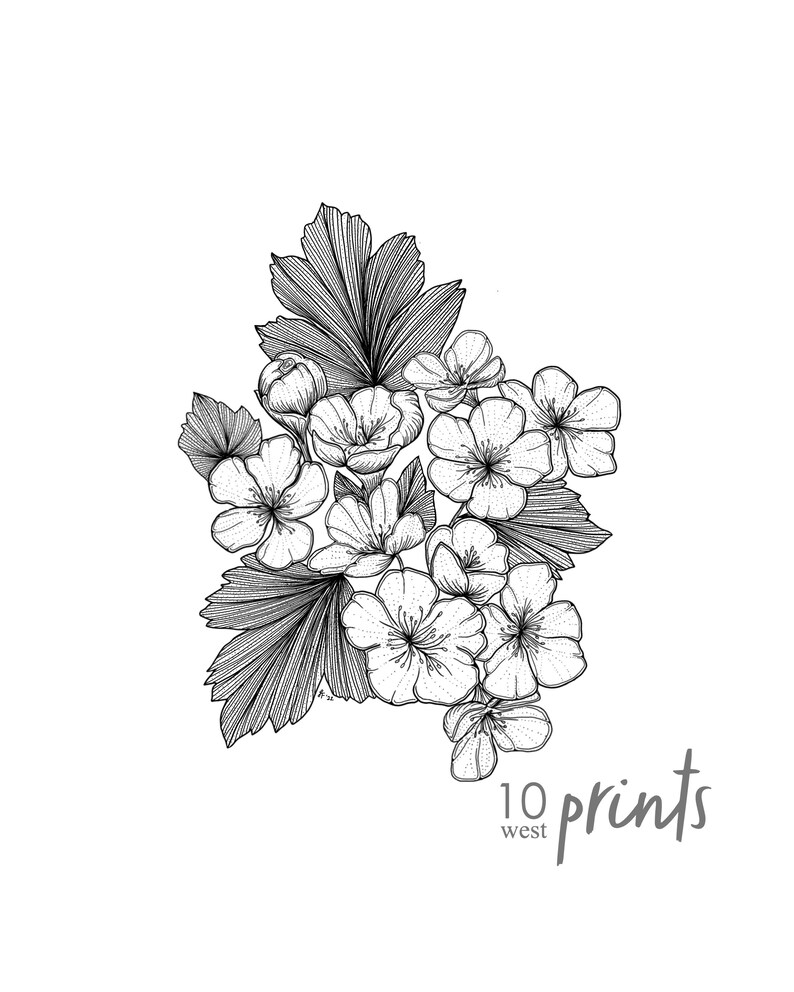 Hawthorn Black Ink Illustration Digital Download / Missouri State ...