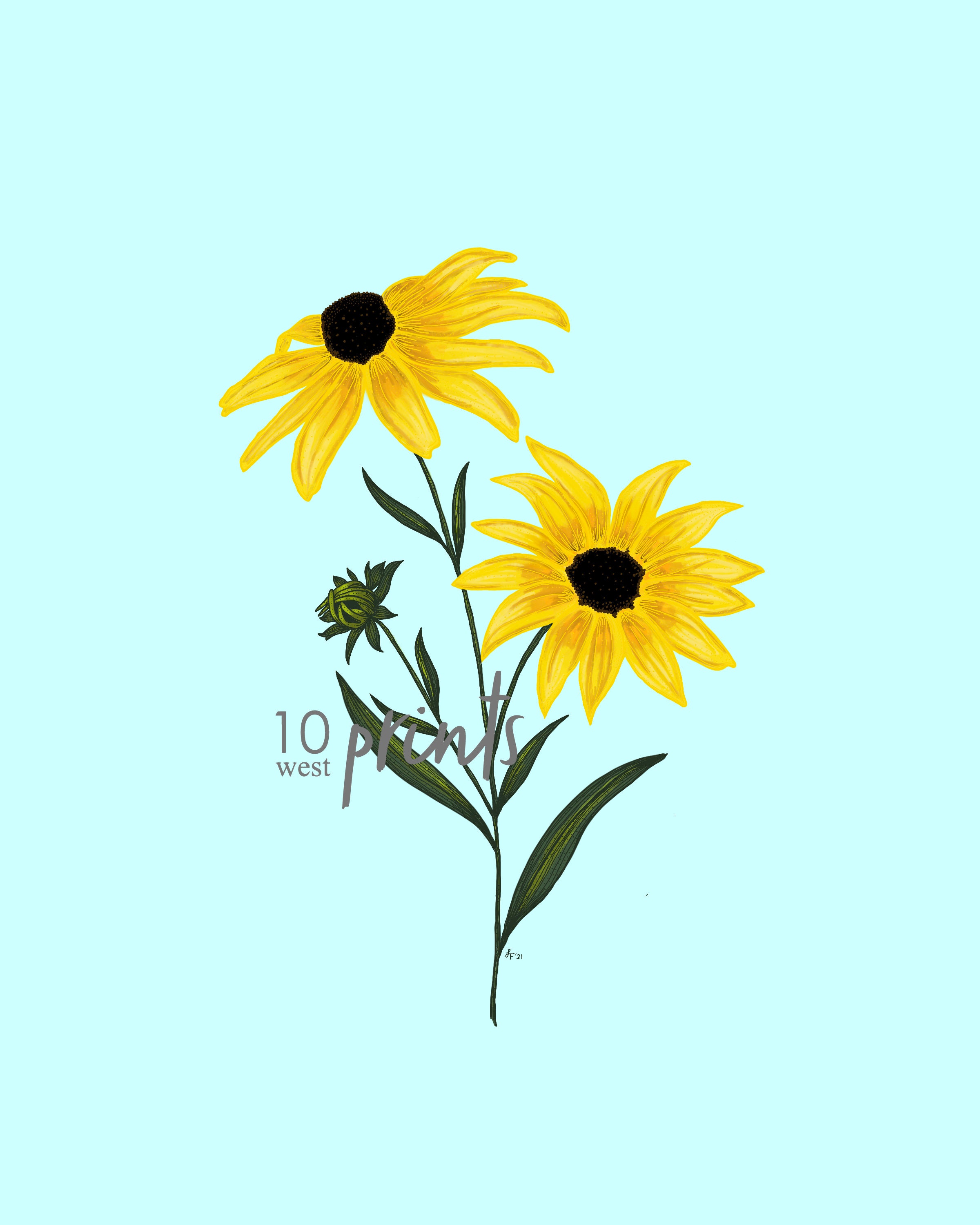 Black-eyed Susan Illustration Print / Printable / Art / - Etsy