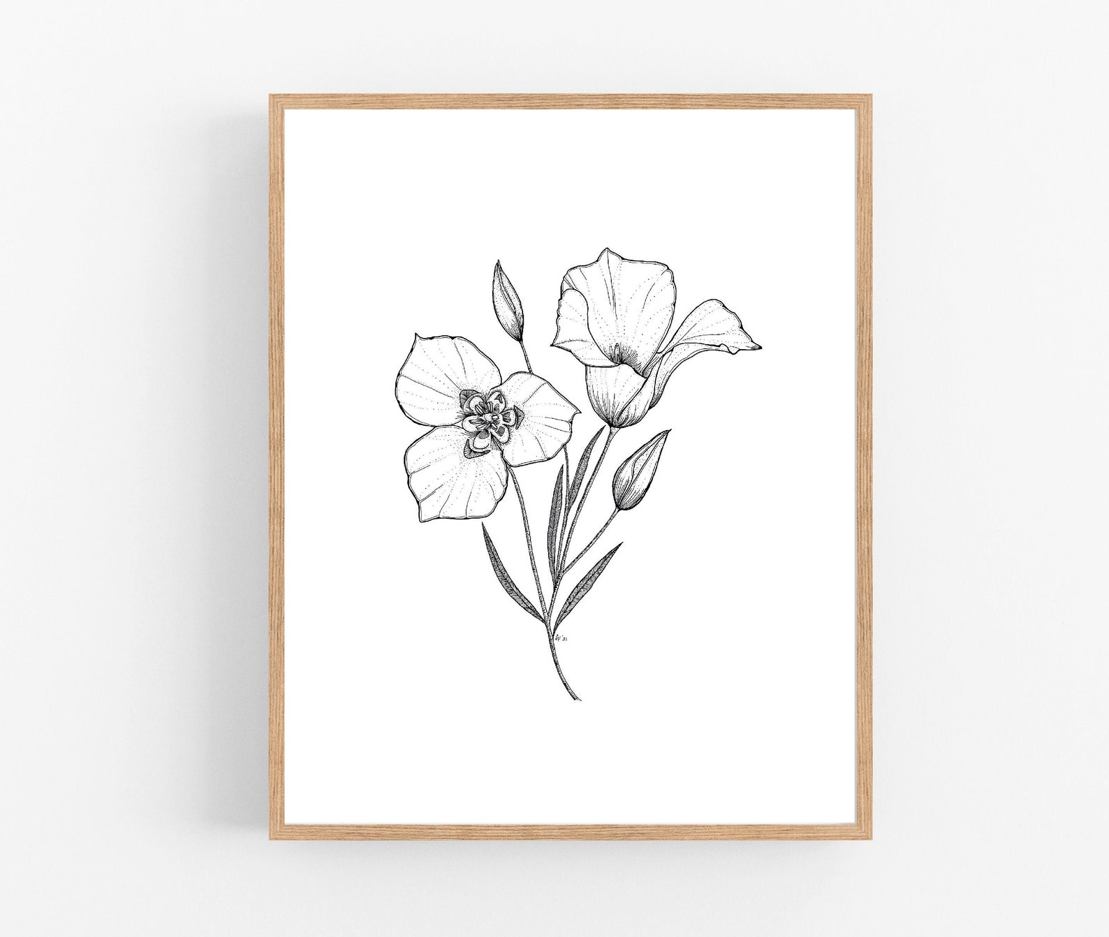 Sego Lily Ink Sketch Print / Printable / Art / Digital Download ...