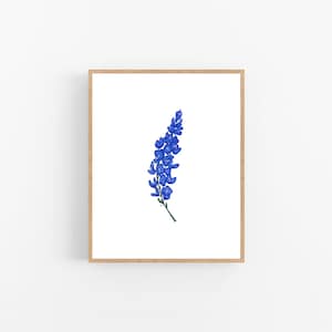 Single Bluebonnet Illustration / Printable / Art / Digital Download ...