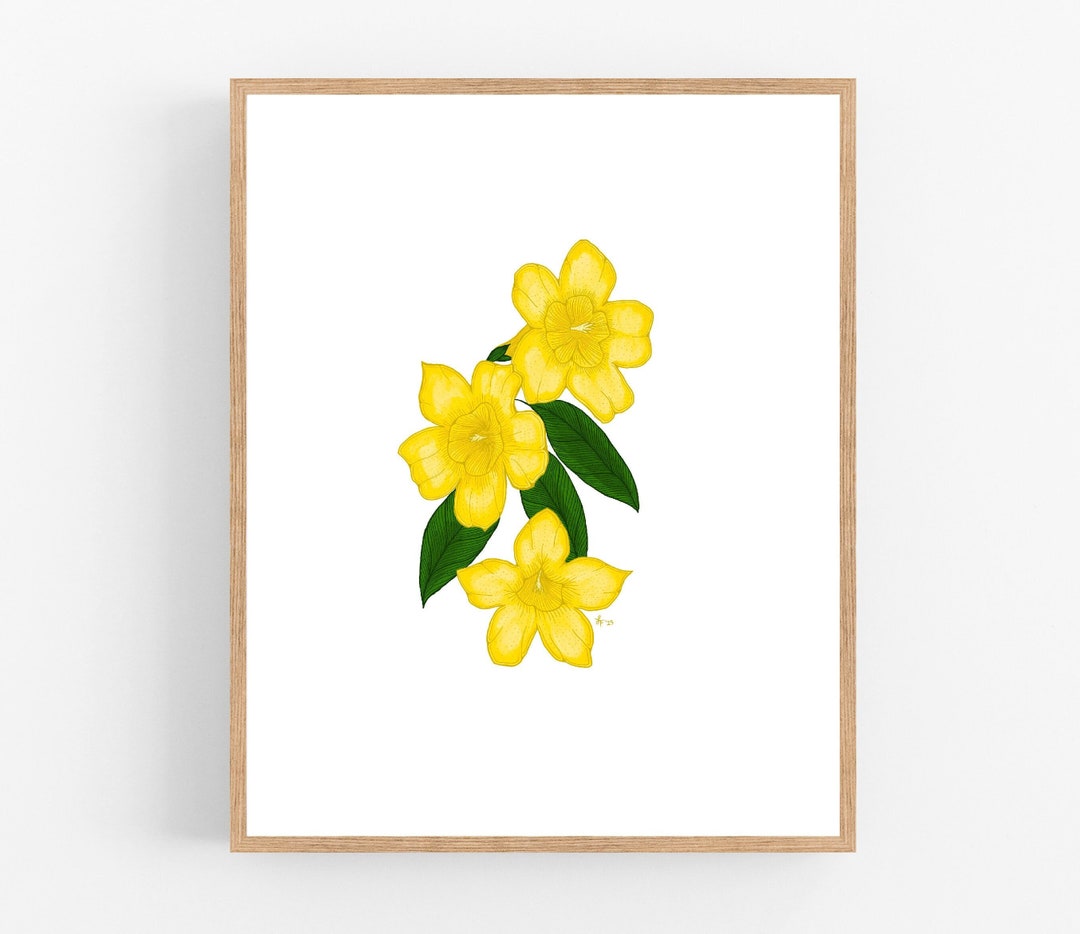 Yellow Jessamine Flower Illustration Print / Printable / Art / Digital ...